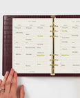 Classic Agenda - Chocolate Cherry Croc